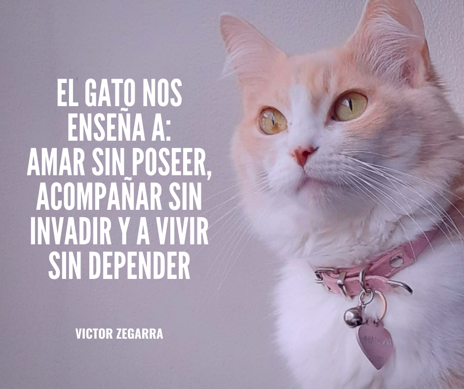 Ama sin poseer – VICTOR ZEGARRA (Terapeuta)